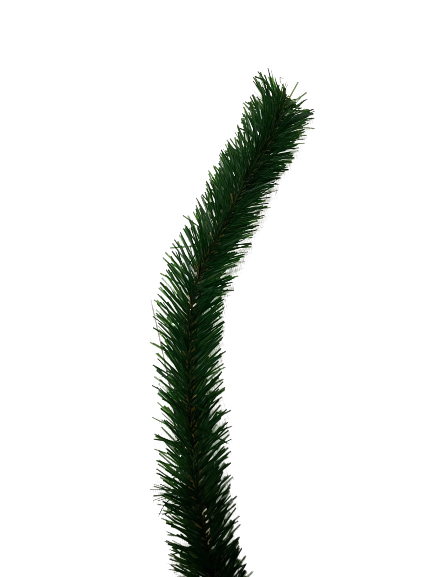 Fir de brad 1M – Trandafiri din Spuma