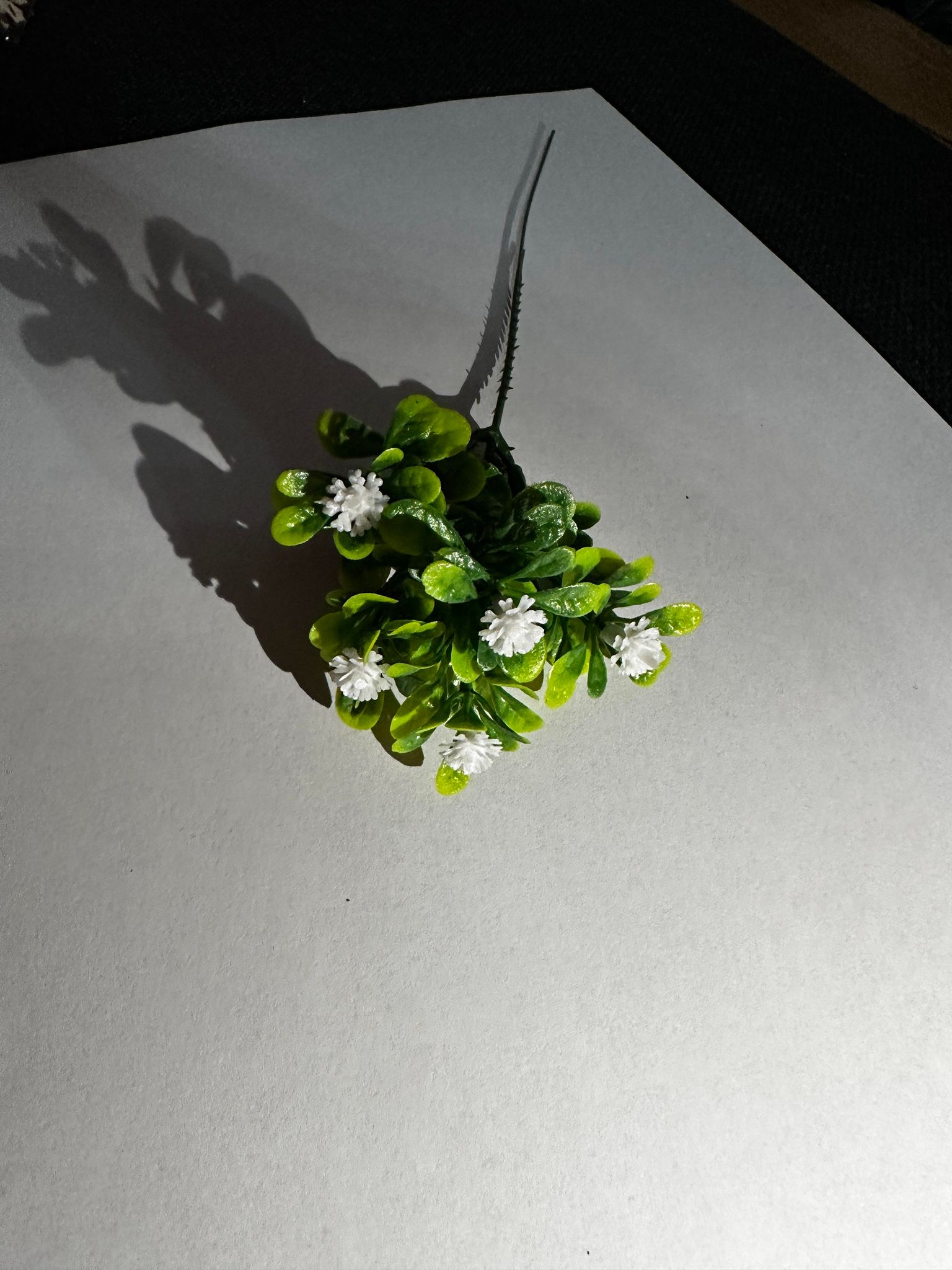 Verdeata cu floricele – Trandafiri din Spuma