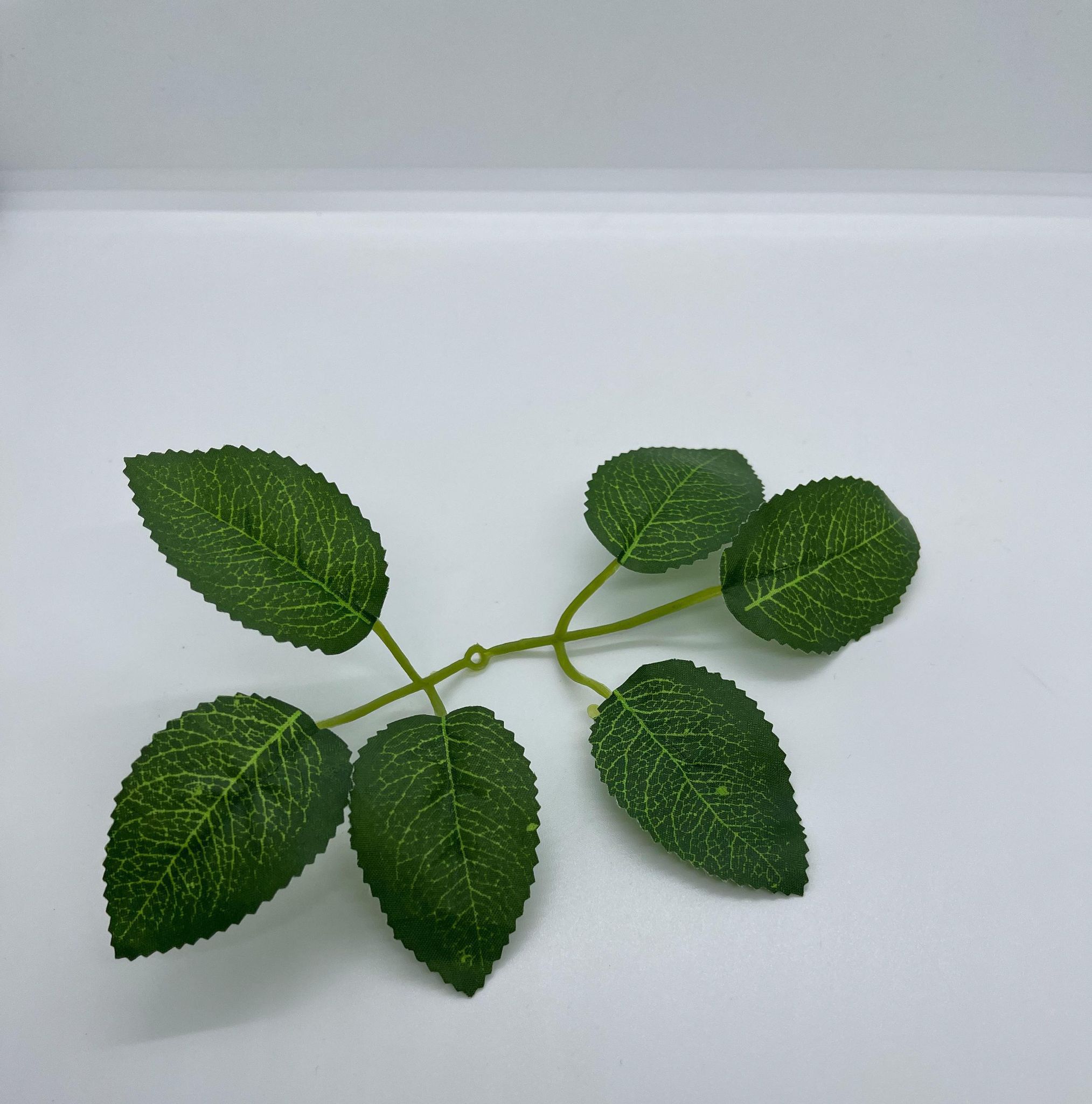 Frunze de trandafir – Trandafiri din Spuma